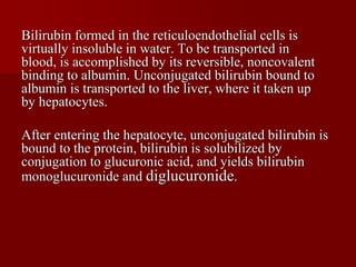 jaundice - yellow discoloration of tissue. | PPT