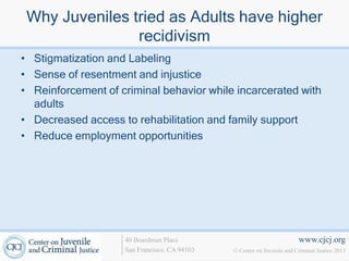 8. juveniles in adult court | PPTX
