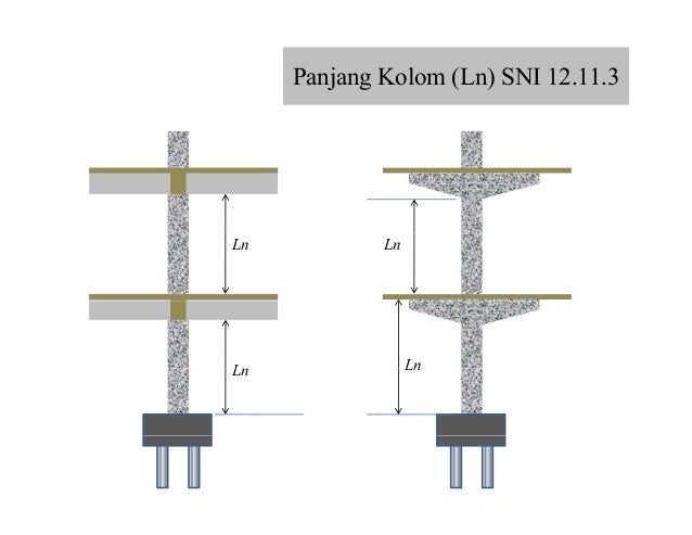 kuliah kolom panjang