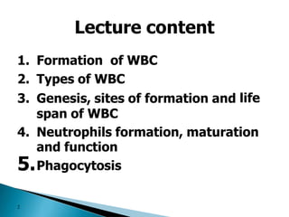 8- L3 White Blood Cells.pptx