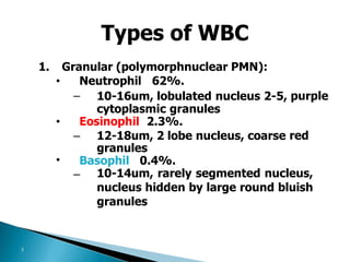 8- L3 White Blood Cells.pptx