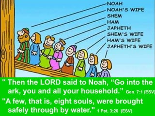 Eight Lessons from Noah's Ark. Here are the most useful lessons | PPT