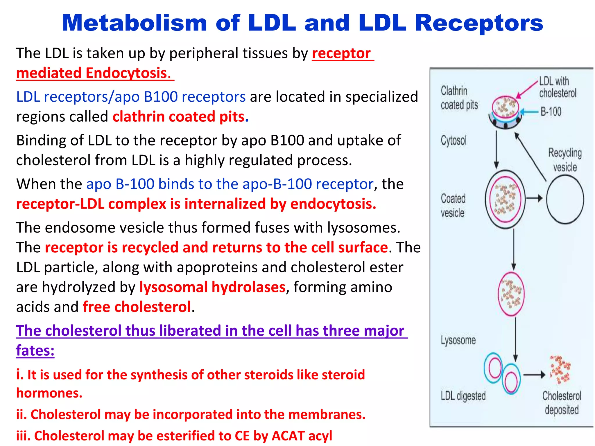 8-LIPOPROTEIN METABOLISM.ppt