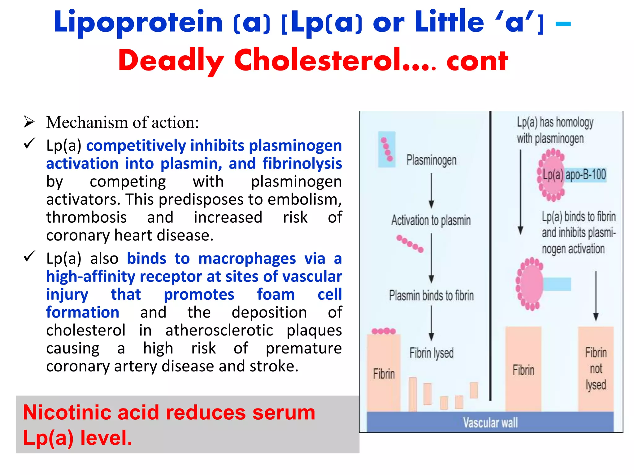 8-LIPOPROTEIN METABOLISM.ppt