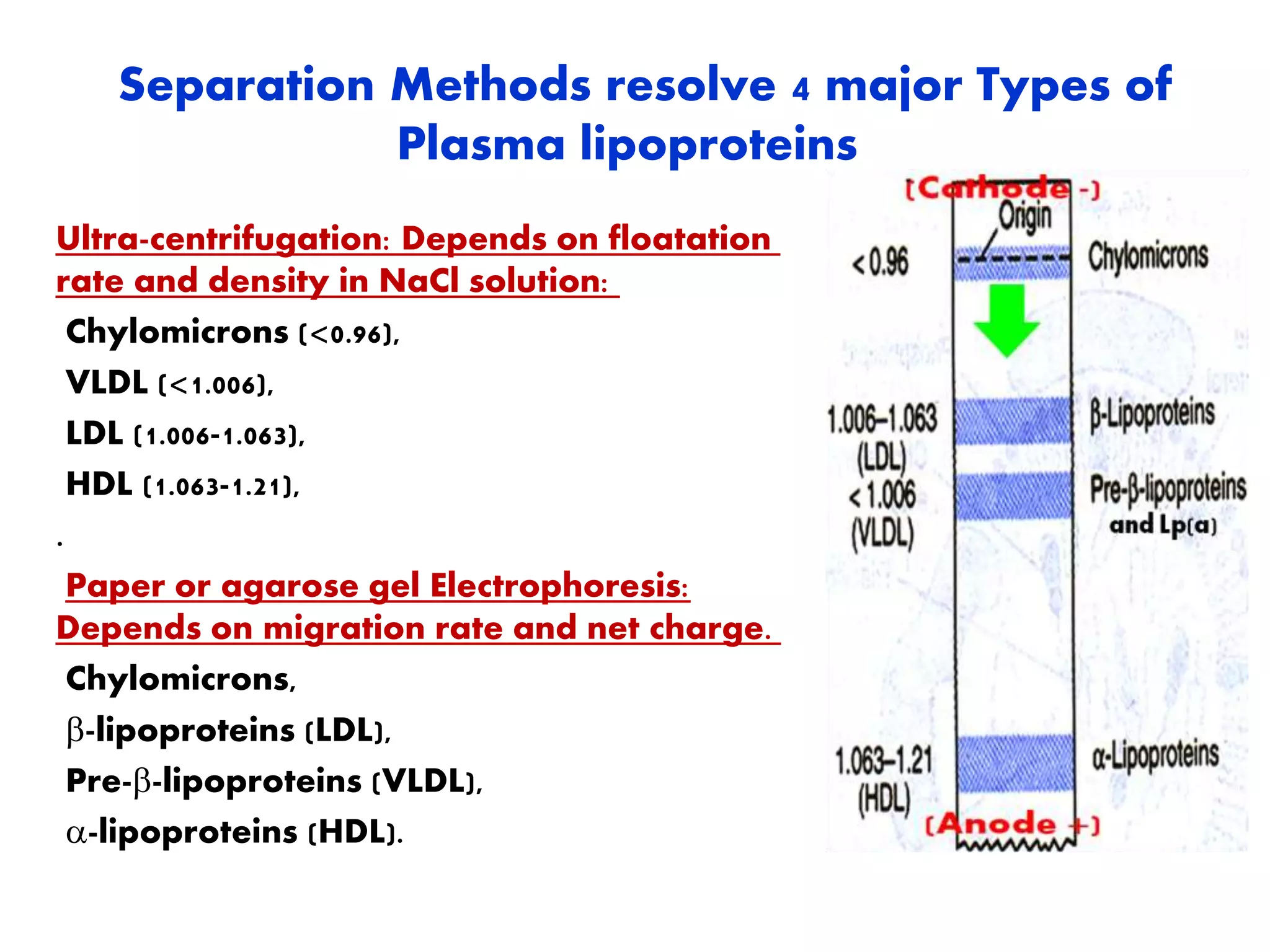 8-LIPOPROTEIN METABOLISM.ppt