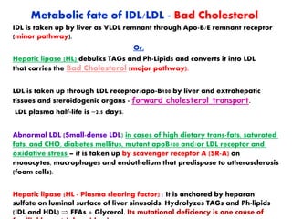 8-LIPOPROTEIN METABOLISM.ppt