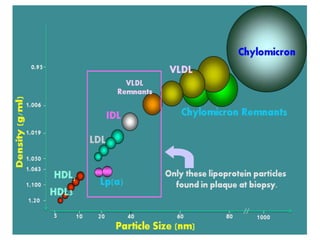 8-LIPOPROTEIN METABOLISM.ppt