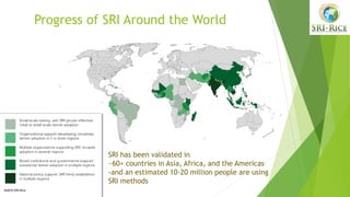 Lucy Fisher-SRI Networks Around the World Where to Next? | PPT