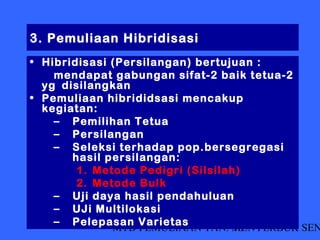 8 metode-pemuliaan-tanaman-yang-menyerbuk-sendiri | PPT