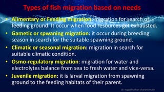 Migration in Fish | PPTX | Fish and Aquariums | Pets