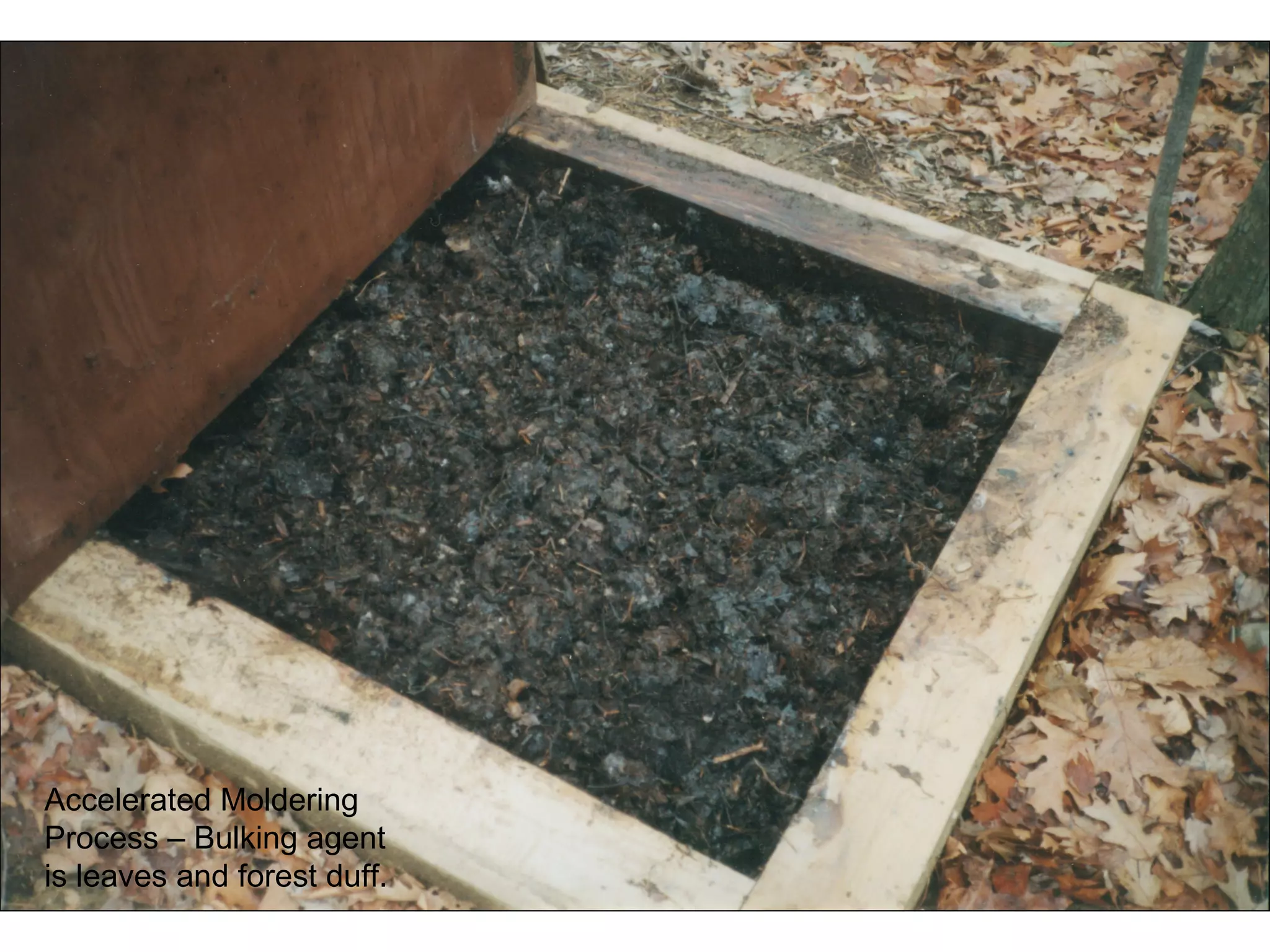 Metheny - The Moldering Privy Green Mountain Club | PPT