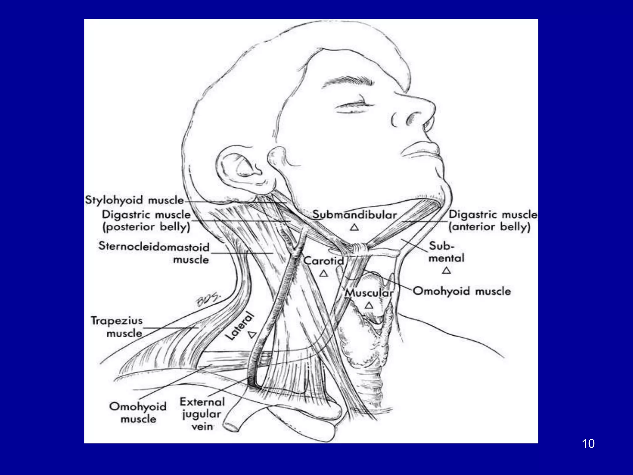 8 neck examination | PPTX