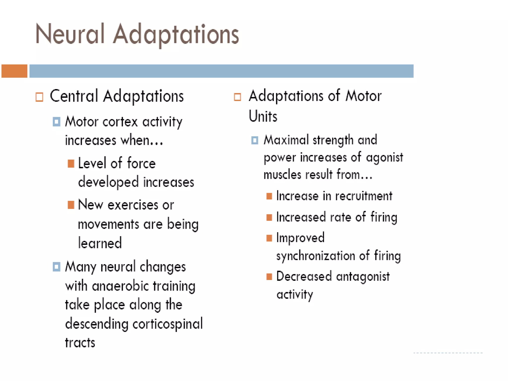 Effects and adaptations of Nervous System to exercise | PPT