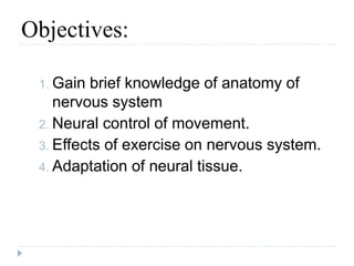 Effects and adaptations of Nervous System to exercise | PPT