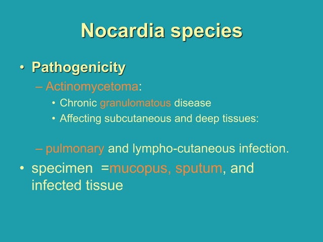 Gram positive bacilli morphology and classification | PDF