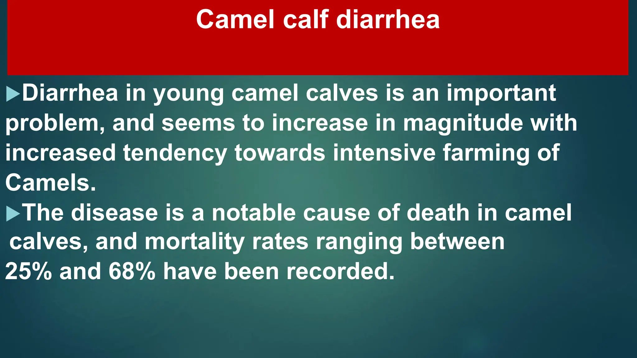 8-Part 1 The importance of Inspection in Diagnosis of Camel Calf ...