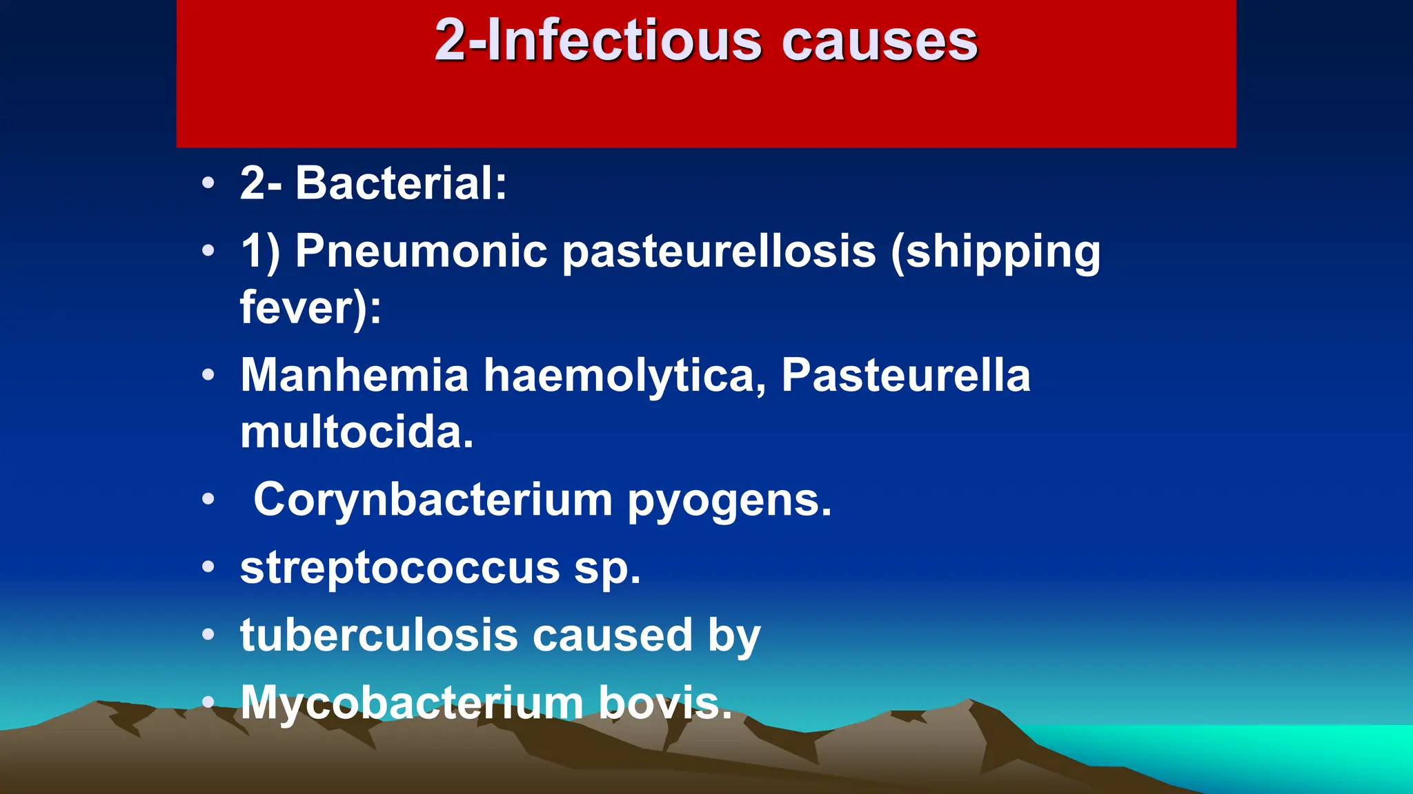 8-Part 1 The importance of Inspection in Diagnosis of Camel Calf Diseases Prof Dr Hamed Attia.pdf