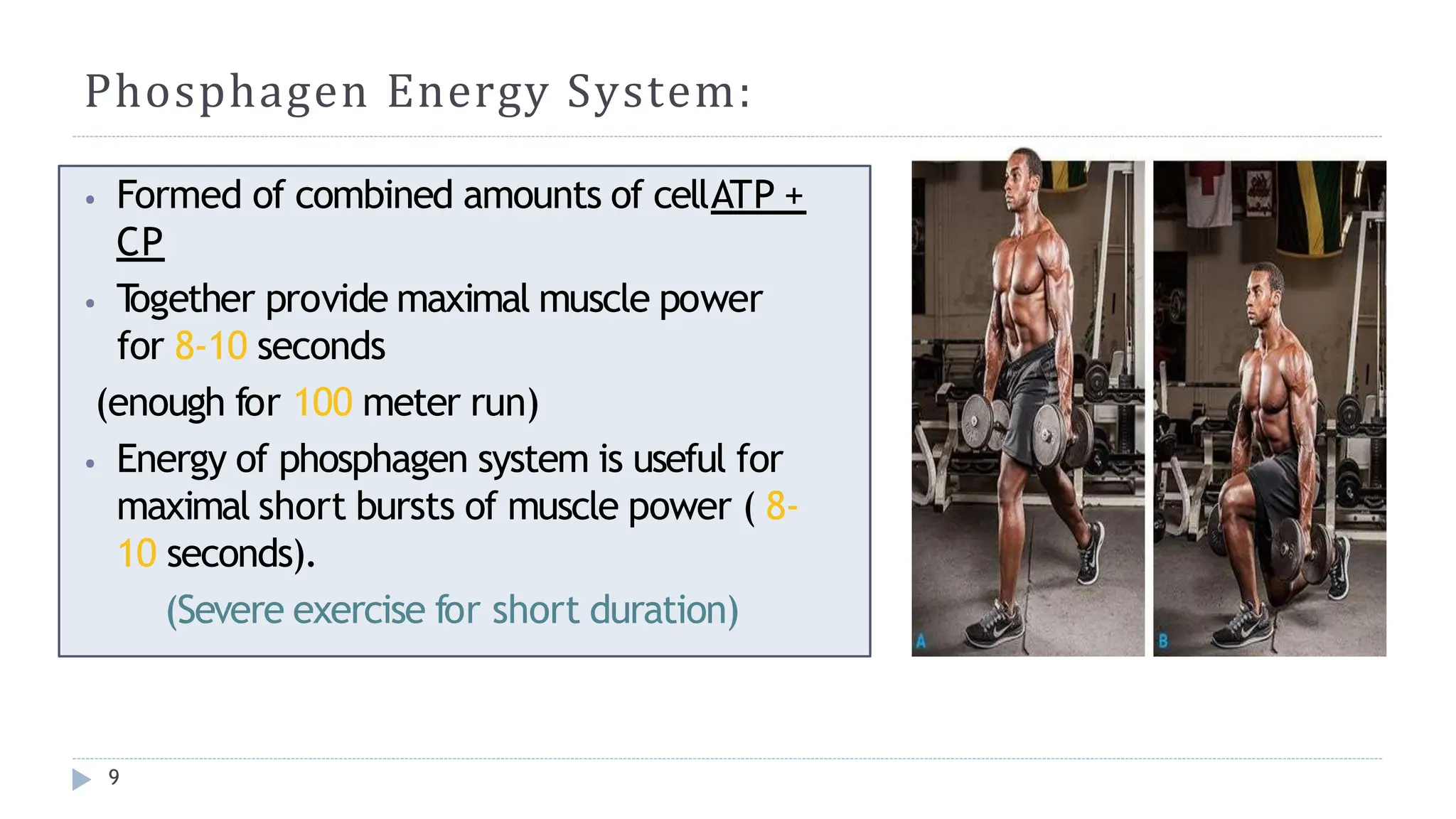 8- Physical and Phsyiological Factors in Sport (1).pptx