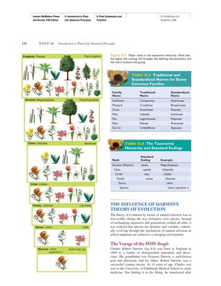 Plant Evolution Chart