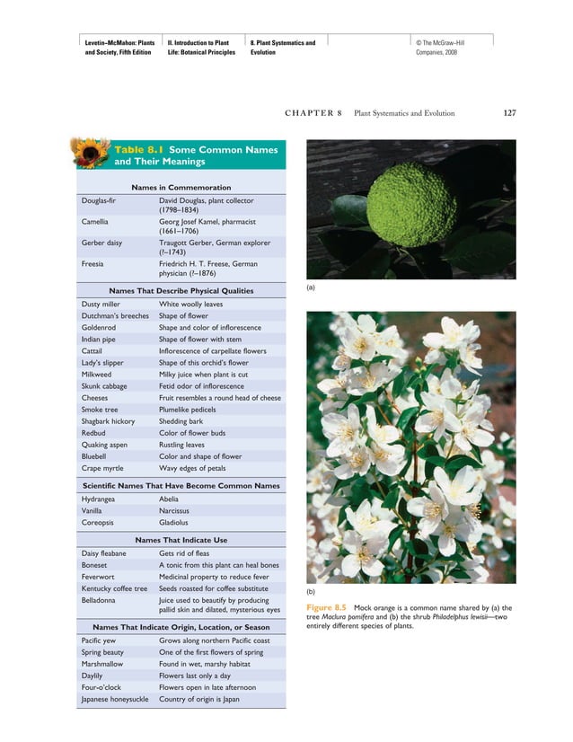 8. plant systematics and evolution | PDF | Gardening | Home & Garden