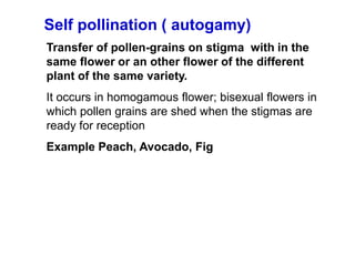 8-Pollination & Fecundation.ppt