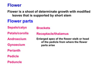 8-Pollination & Fecundation.ppt