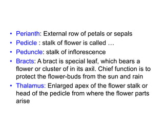 8-Pollination & Fecundation.ppt