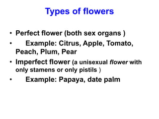 8-Pollination & Fecundation.ppt