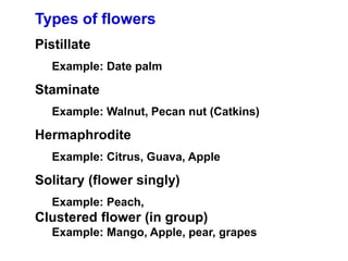 8-Pollination & Fecundation.ppt