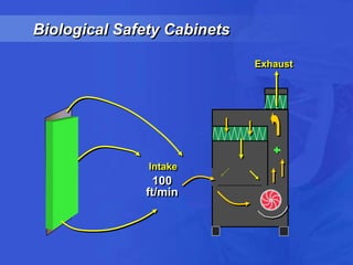 8. principles of biosafety, biocontainment & program management (nbb160 ...