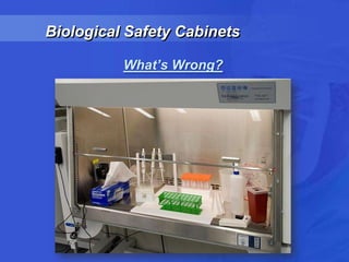 8. principles of biosafety, biocontainment & program management (nbb160 ...