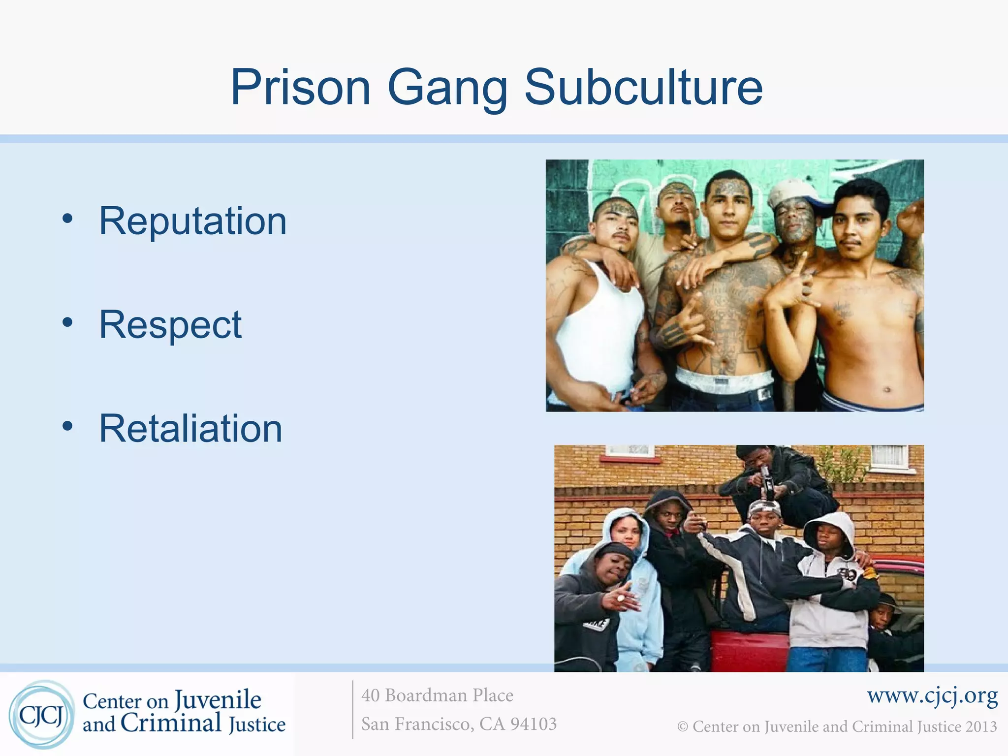 8. prison gangs | PPT
