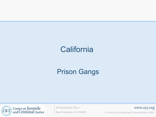 Prison Gangs Statistics