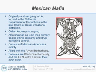8. prison gangs | PPT