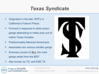 8. prison gangs | PPT