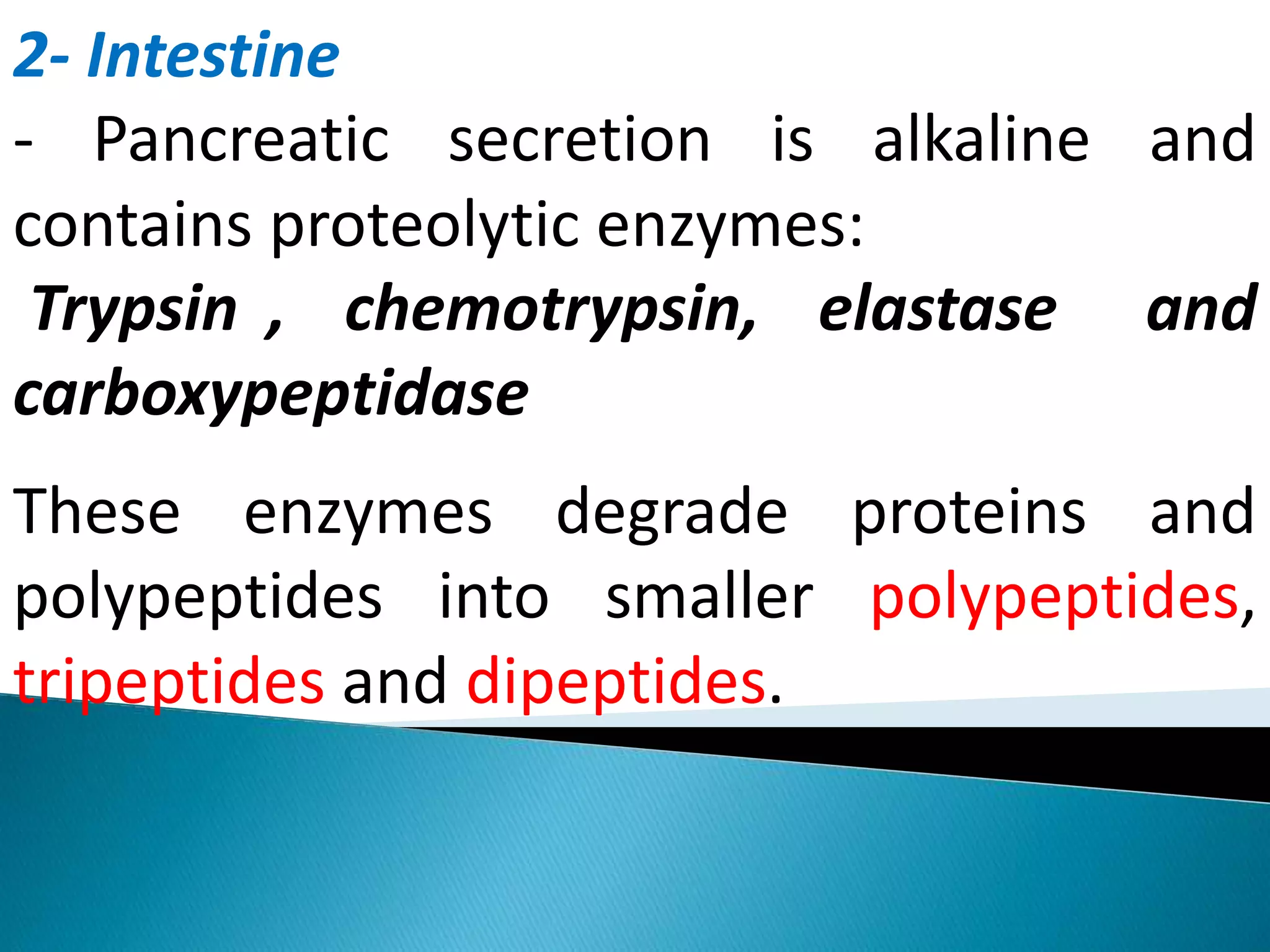 8-protein metabolism.pptx