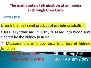 8-protein metabolism.pptx