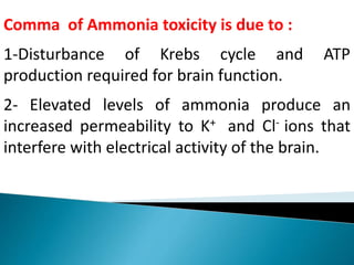 8-protein metabolism.pptx