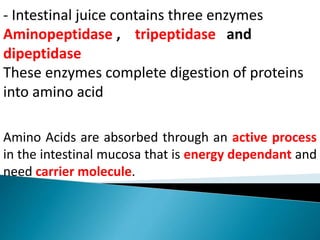 8-protein metabolism.pptx