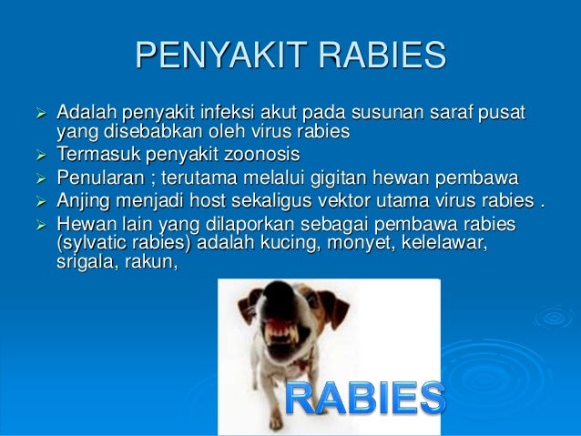 8-rabies-141112045300-conversion-gate02.ppt