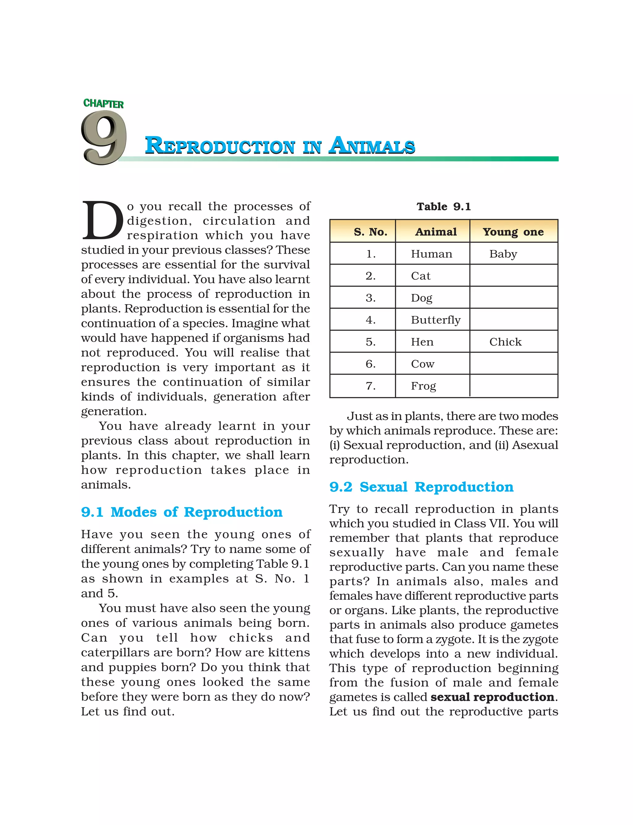 8 reproduction in animals | PDF