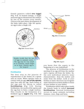 8 reproduction in animals | PDF