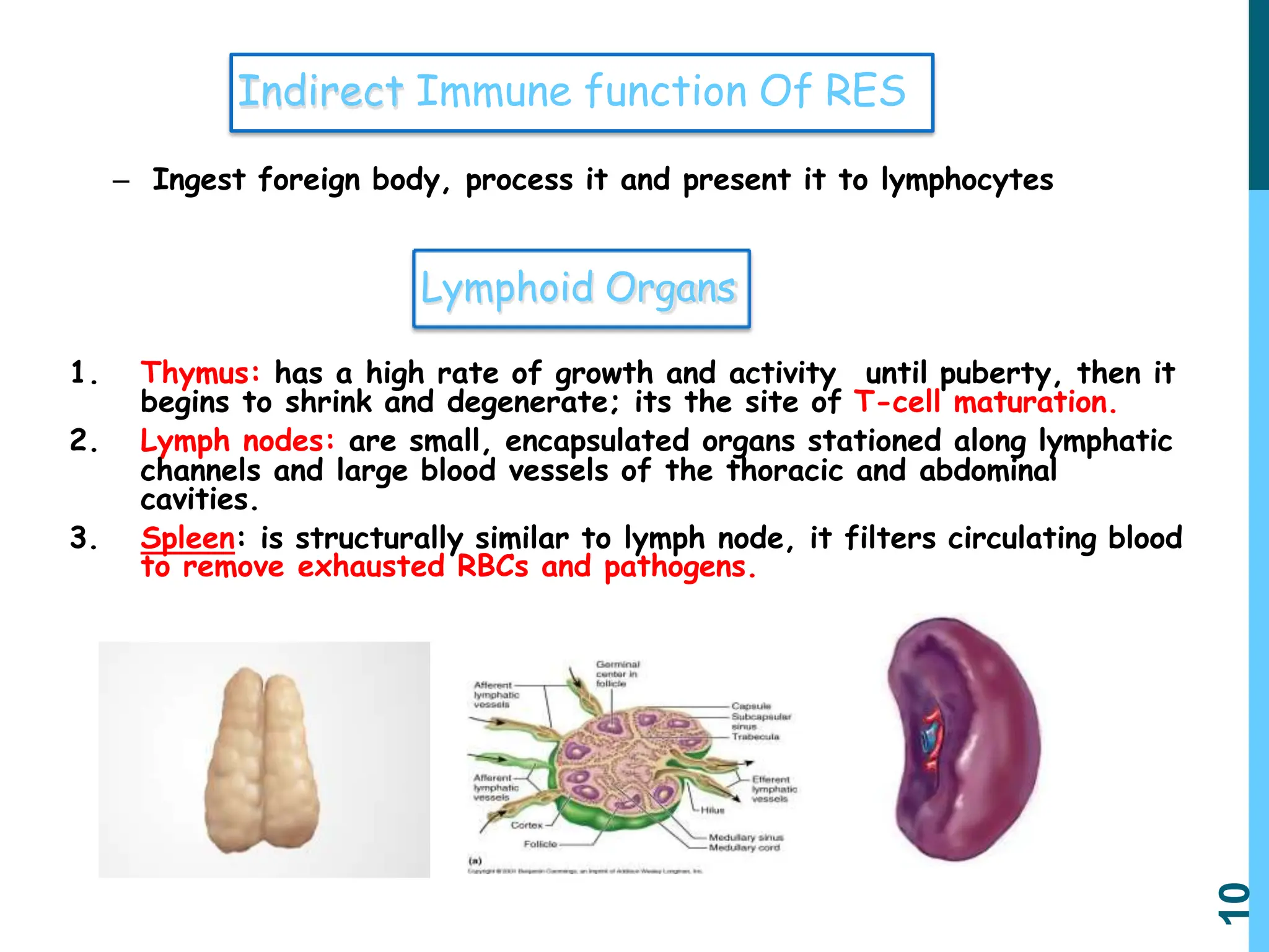 8-Reticuloendothelial System (RES).pptx