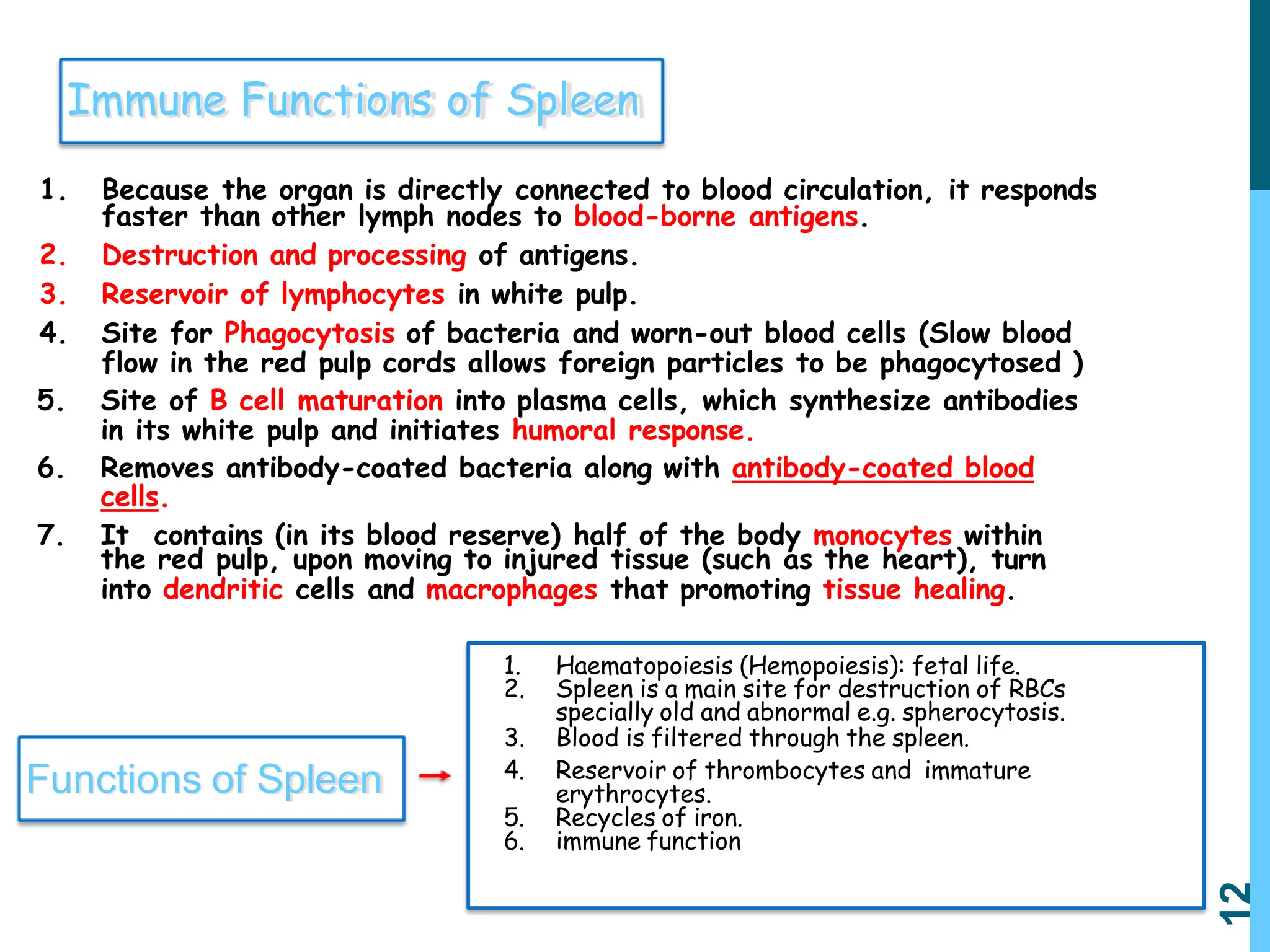 8-Reticuloendothelial System (RES).pptx