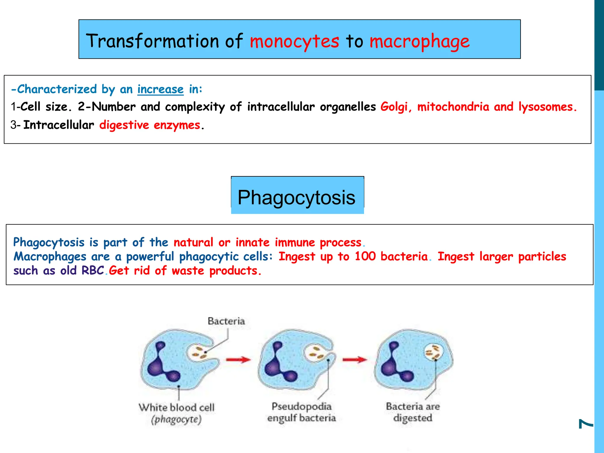 8-Reticuloendothelial System (RES).pptx
