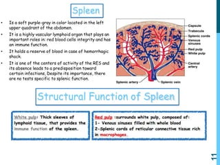 8-Reticuloendothelial System (RES).pptx