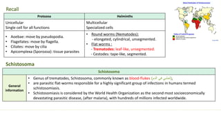 schistosomiasis disease that affect people.pdf