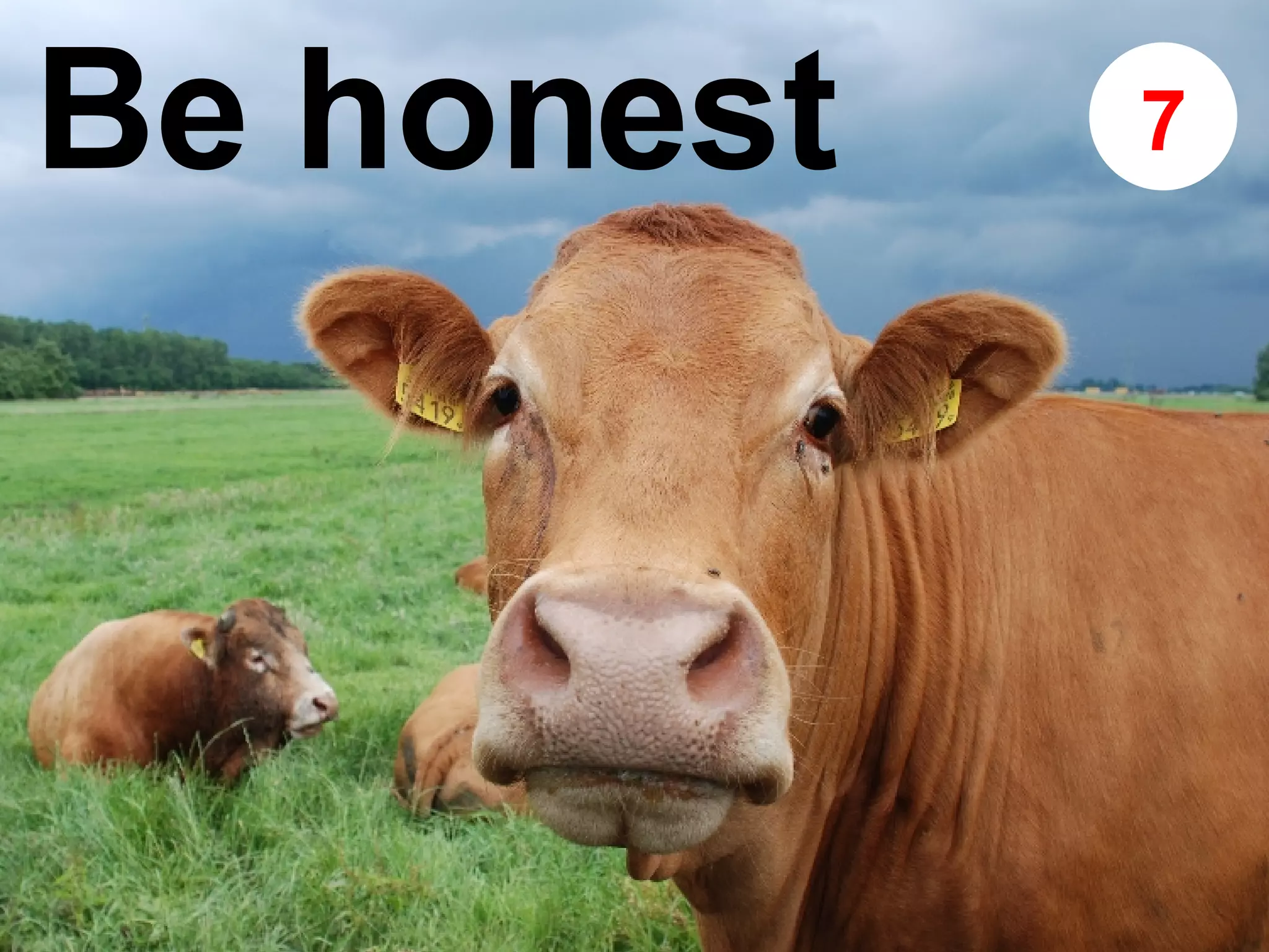 8 Simple Rules For Success | PPT