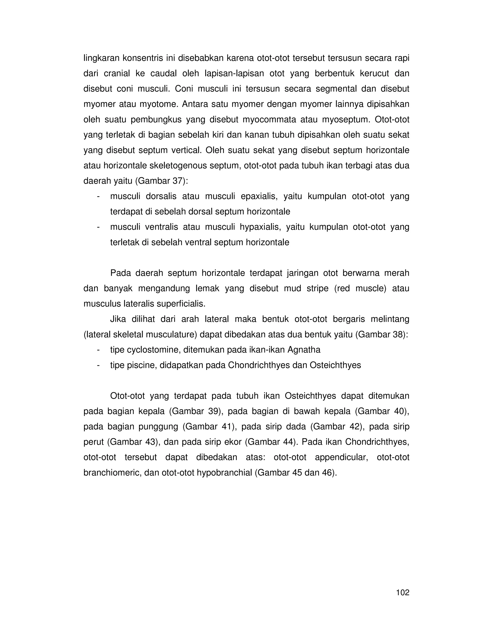 sistem alat gerak | PDF