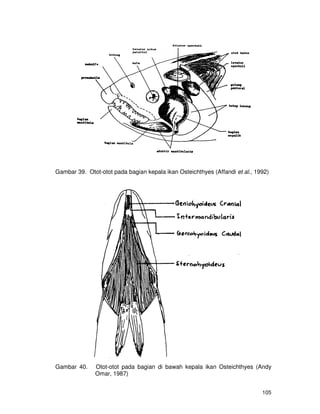 sistem alat gerak | PDF